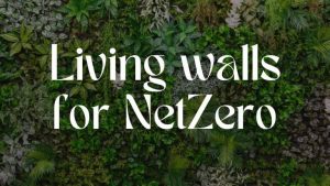 Exeter Science Centre - Educate, Motivate, Empower